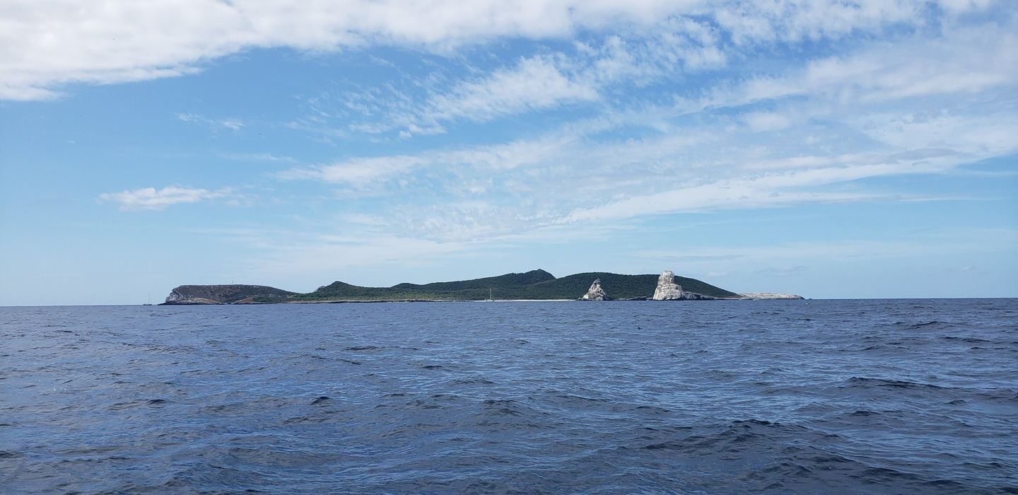 ISLA ISABEL NATIONAL PARK | SCUBA DIVING EXPEDITION in Campamento Isla ...