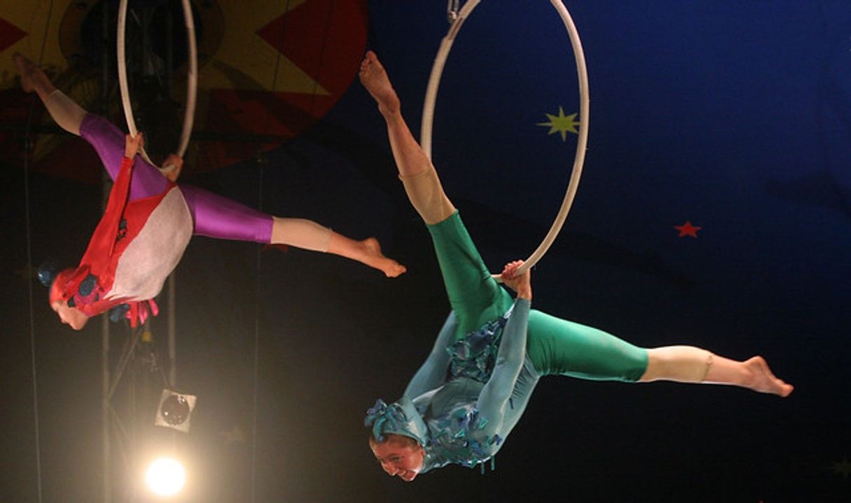 Pole + Aerial Instructors Training in Hartford, CT, USA