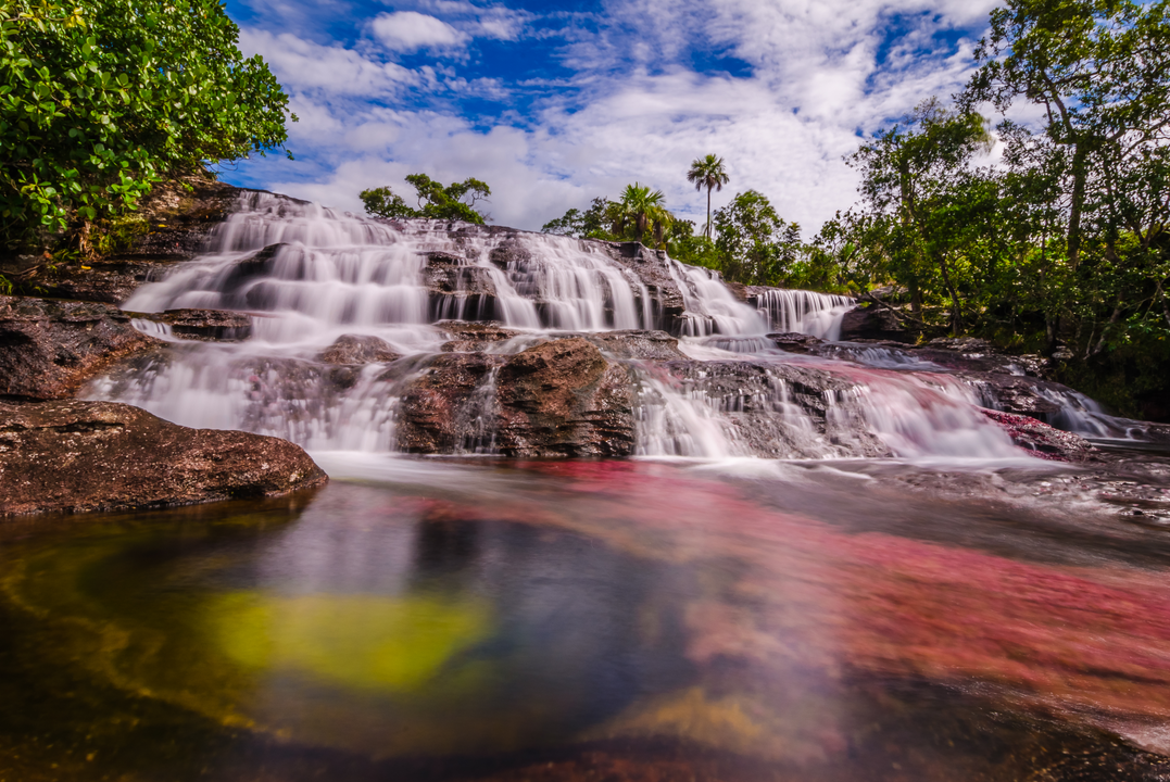 Meta - Caño Cristales 5 days, 4 nights from Bogotá in La Macarena, Meta ...