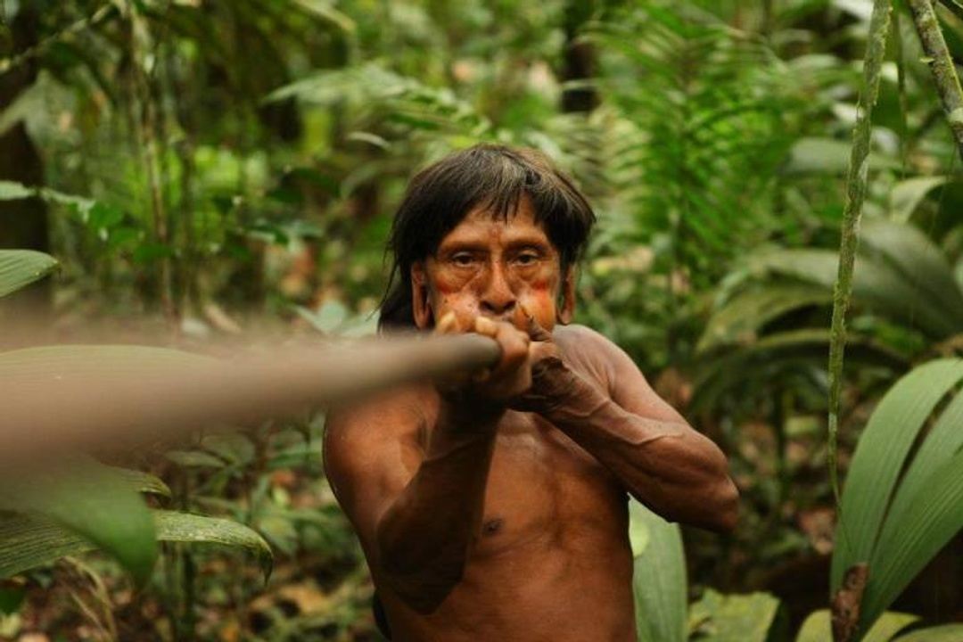 HUAORANI TOUR 5 DAYS/ 4 NIGHTS in Bameno. Ecuador