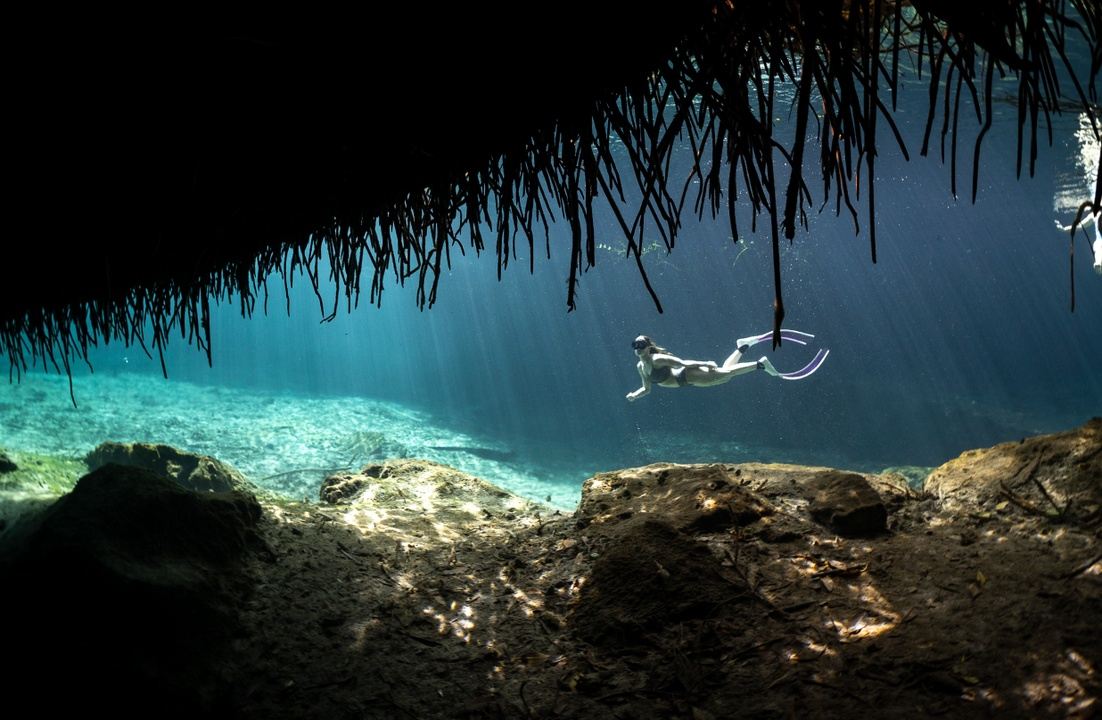 Cenote Hopping and Freediving Adventure in Playa del Carmen, Quintana ...