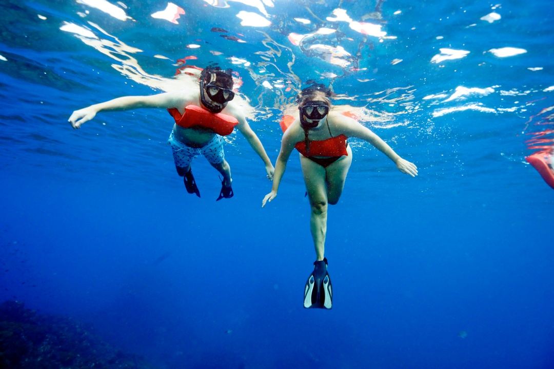 Snorkeling & Scuba Diving at Caño Island - Drake Bay in Isla del Caño, Costa Rica