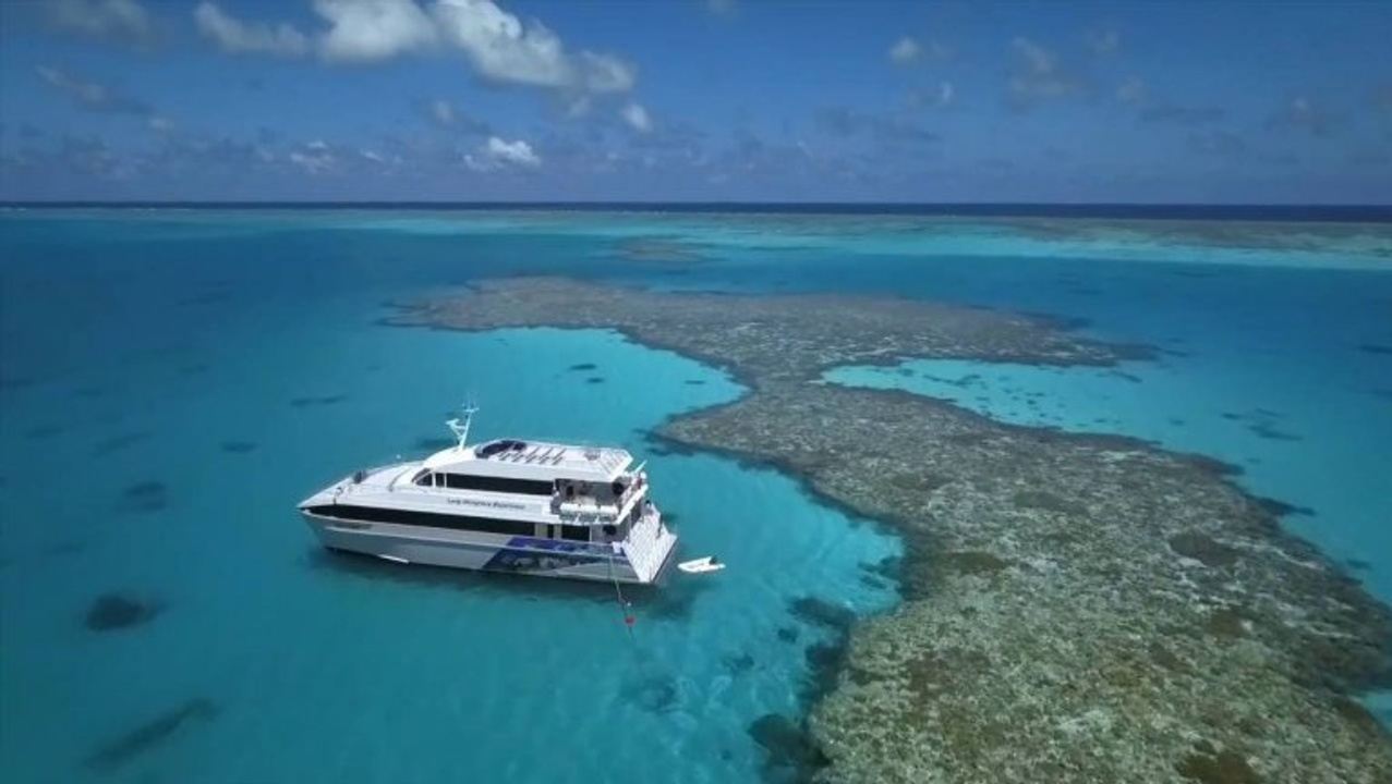 LADY MUSGRAVE EXPERIENCE GREAT BARRIER REEF in LADY MUSGRAVE ISLAND