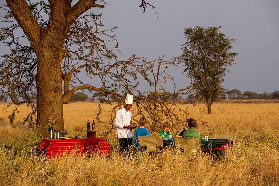The Stargazer's Dream 5 Days Camping Safari in Arusha, Tanzania
