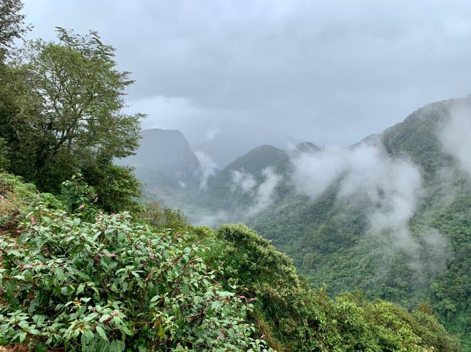 Sierra Mixe: a cultural wonder in Oaxaca in Oaxaca de Juárez, Oax., México