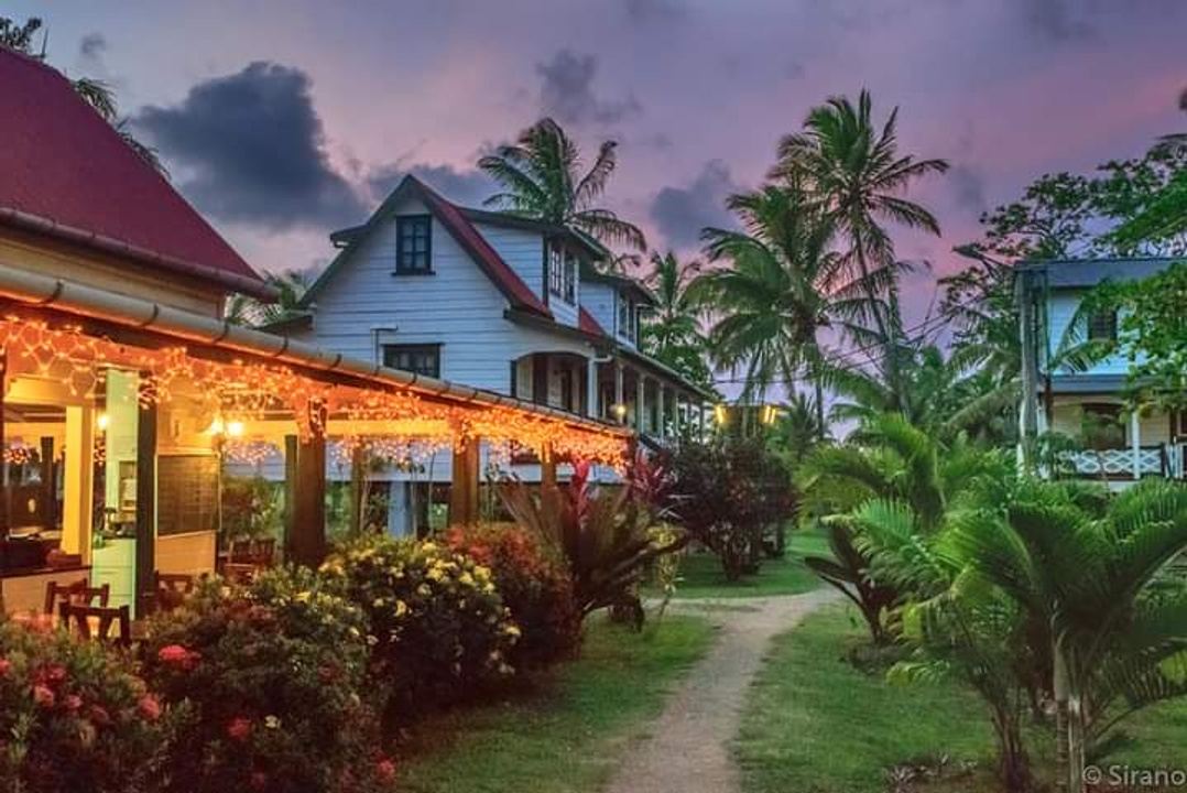 Commewijne Dolphin & Plantation boattrip in nw amsterdam, rust&werk ...