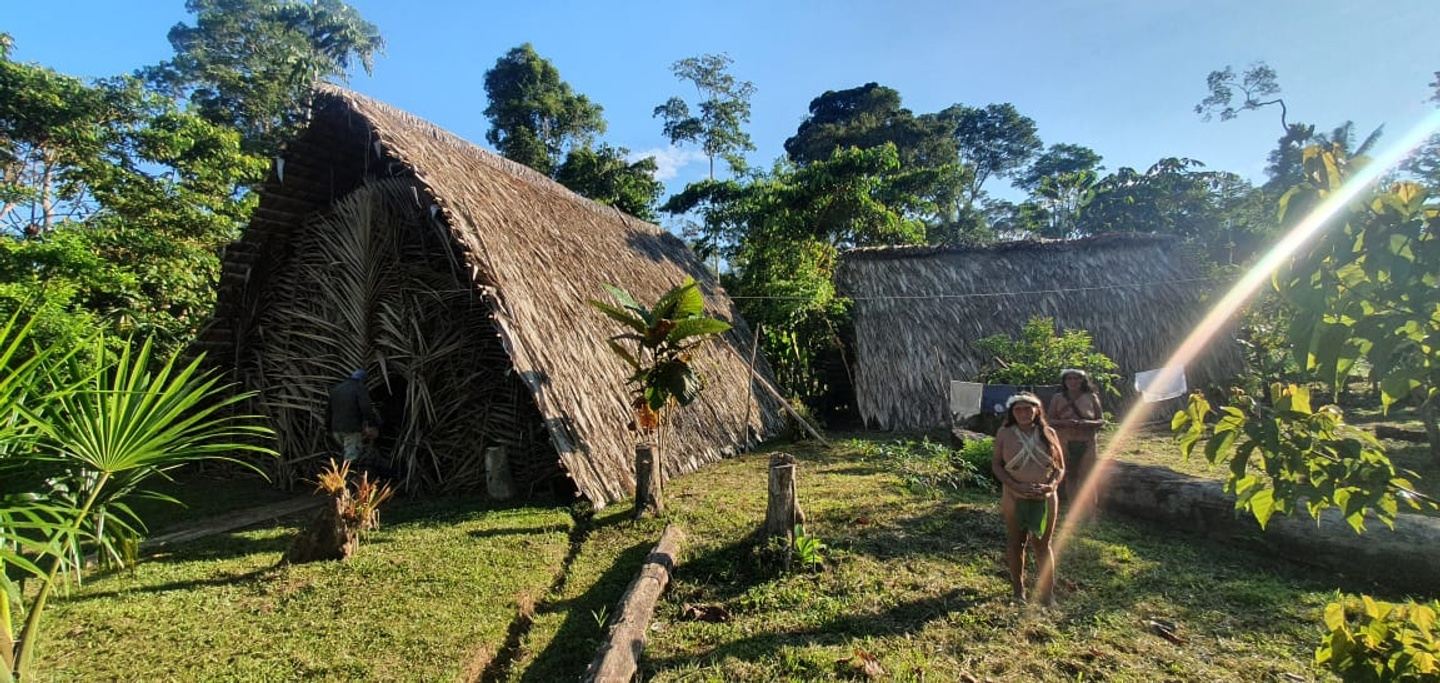 HUAORANI TOUR 5 DAYS/ 4 NIGHTS in Bameno. Ecuador
