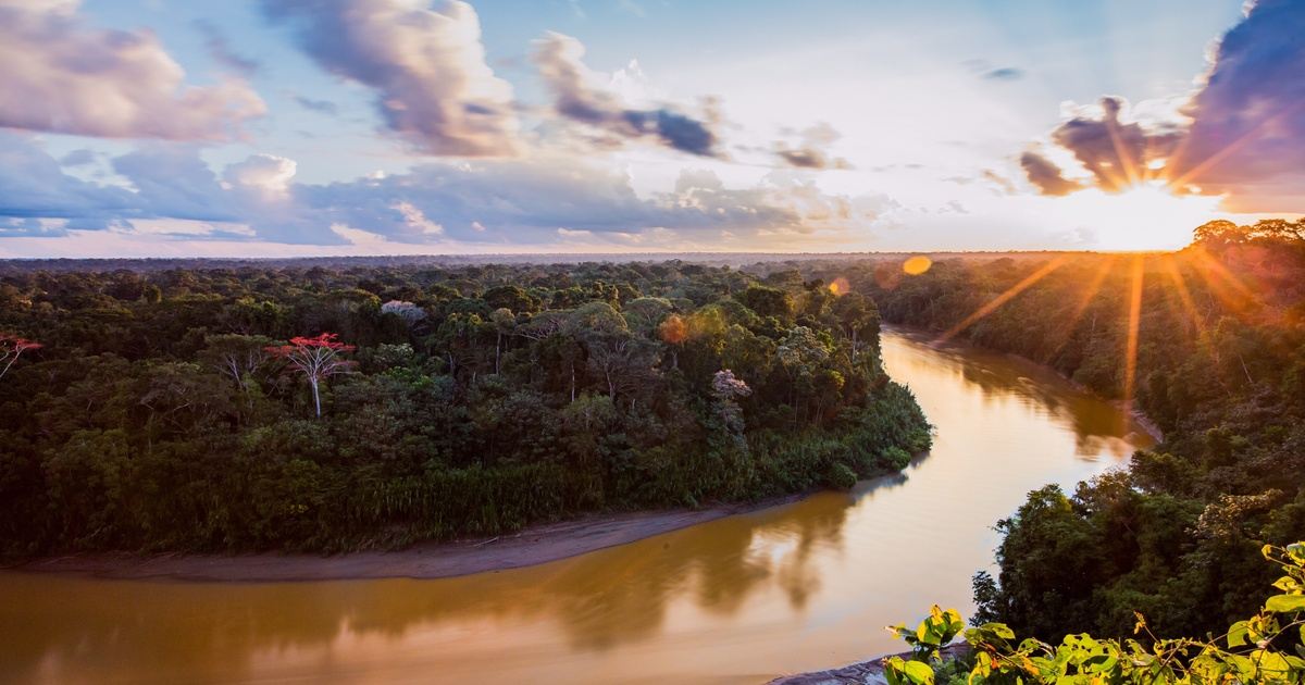 Reconnect with Nature: Explore in the Amazon Rainforest in Puerto ...