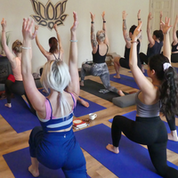 Akash Yoga LLC's WeTravel Profile