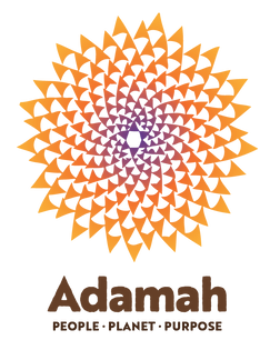 Adamah - Idealist