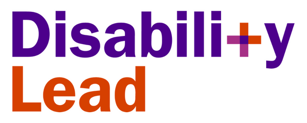 Disability Lead - Idealist