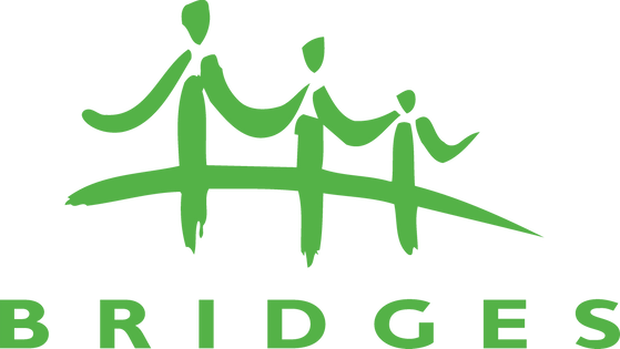 BRIDGES USA - Idealist