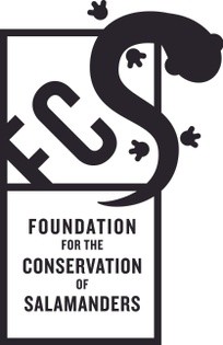 Foundation for the Conservation of Salamanders - Idealist