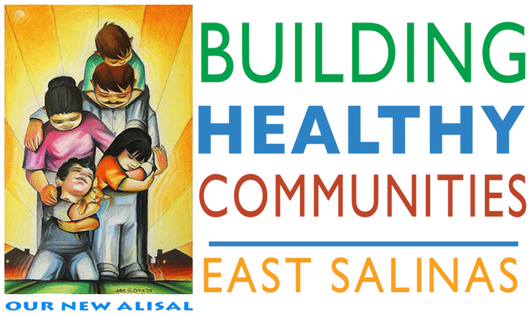 Building Healthy Communities - East Salinas - Idealist