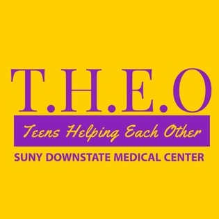 Adolescent Education Program-STAR - Idealist