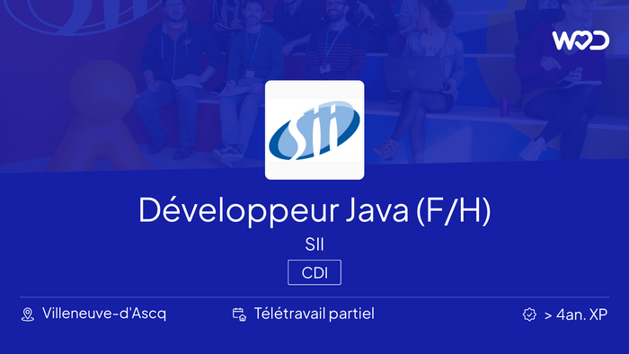 Développeur Java (F/H) - SII - IT job