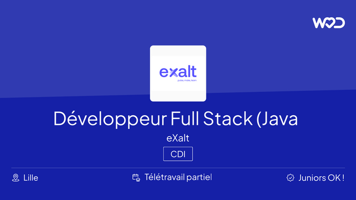 Développeur Full Stack (Java / Spring Boot / Vue JS) - IT job