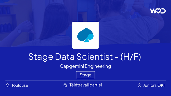 Stage Data Scientist - TOULOUSE (H/F) - Capgemini Engineering - IT job