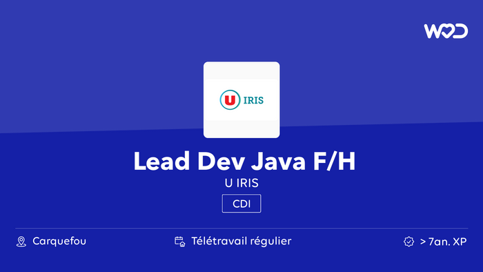 Lead Dev Java F/H - U IRIS - IT job