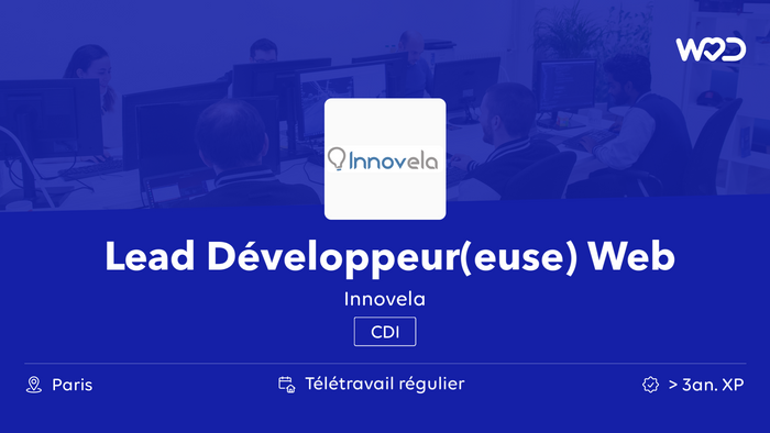 Lead Développeur(euse) Web fullstack - IT job
