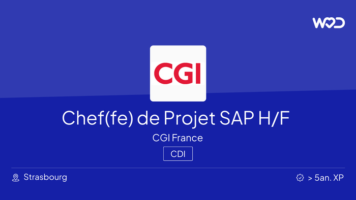 Chef(fe) de Projet SAP H/F - IT job