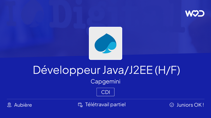 Développeur Java/J2EE (H/F) - Capgemini - IT job