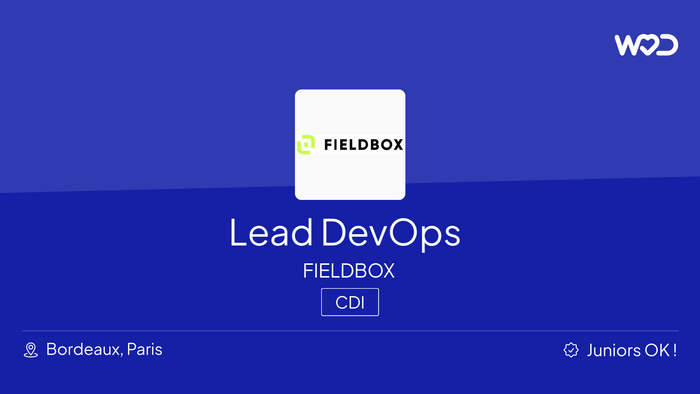 Lead DevOps - IT job