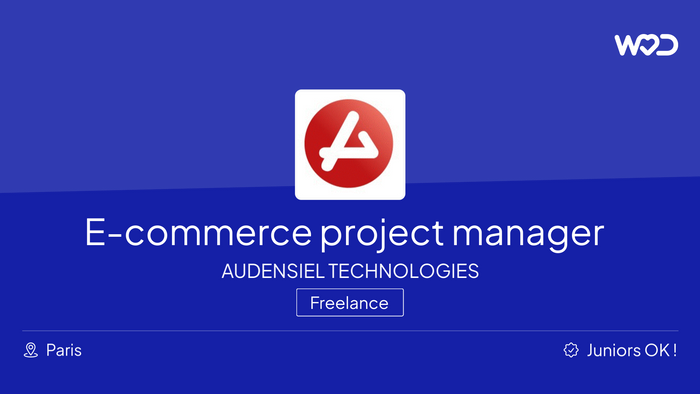 E-commerce project manager F/M - IT job