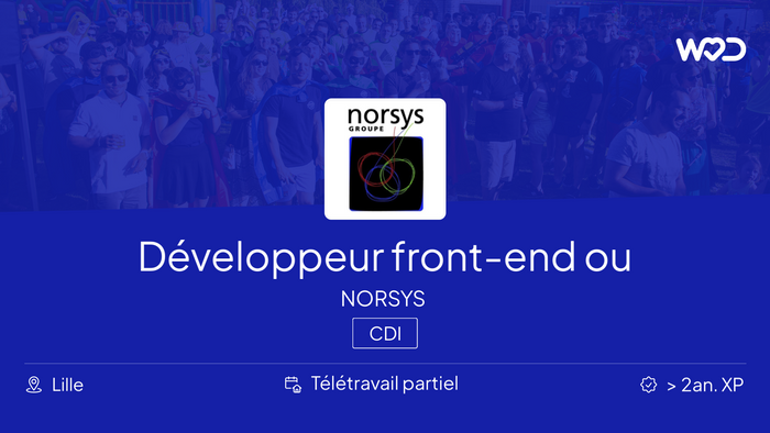 Développeur Front End Angularreact Ou Vuejs Norsys It Job