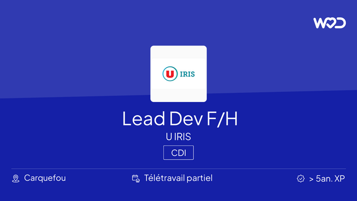 Lead Dev F/H - U IRIS - IT job