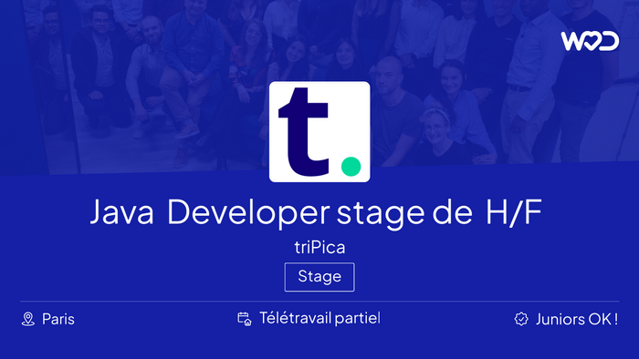 Java Developer stage de pré-embauche H/F - triPica - IT job
