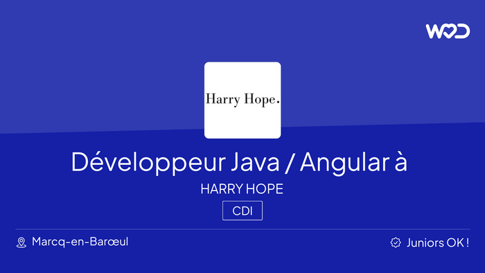 Développeur Java / Angular (H/F) (Basé à Lille) - IT job