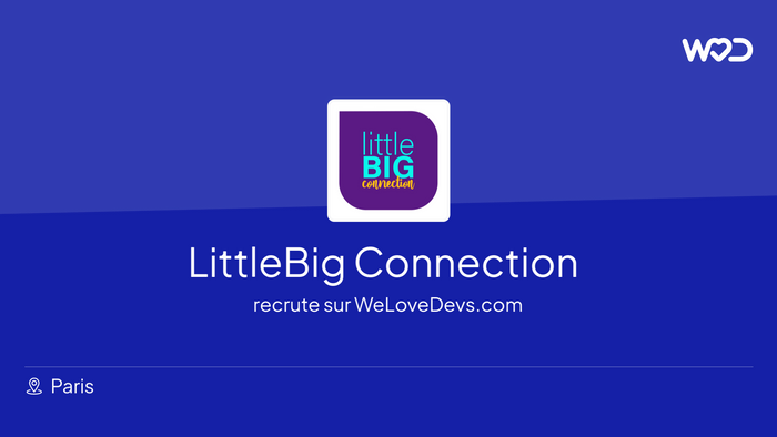 Developer at LittleBig Connection - jobs and salaries | WeLoveDevs
