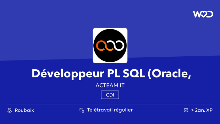 Développeur PL SQL (Oracle, Jira, Git) - ACTEAM IT - IT job