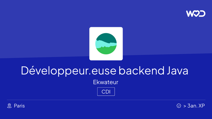 Développeur.euse backend Java Confirmé (H/F/X) - IT job