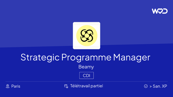 Strategic Programme Manager - IT job