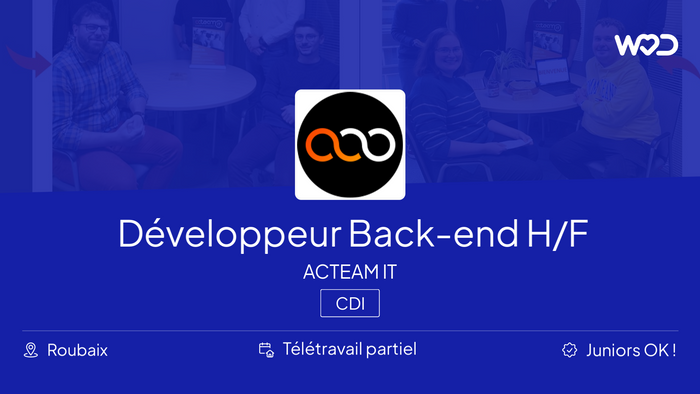 Développeur Back-end H/F - ACTEAM IT - IT job