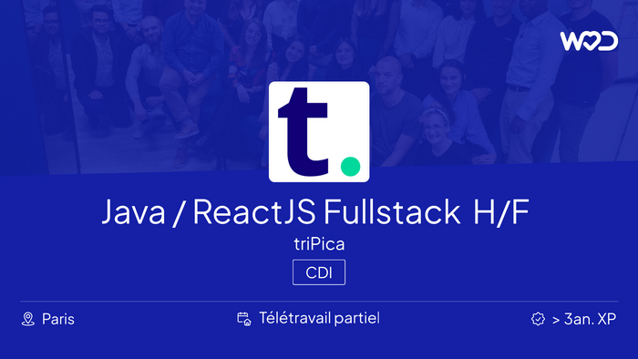Java / ReactJS Fullstack Developer H/F - triPica - IT job