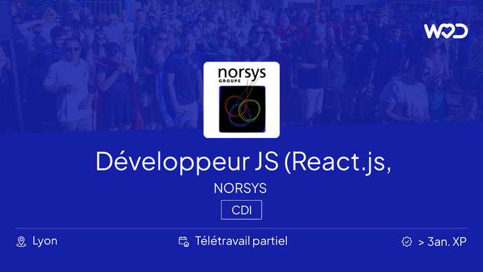 Développeur Js Reactjs Vuejs Norsys It Job