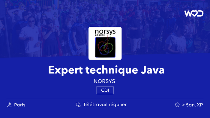 Expert technique Java - norsys - IT job