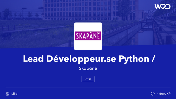 Lead Développeur.se Python / Scala - Skapánê - IT job
