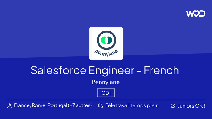 Salesforce Engineer - French Speaking - full remote possible - IT job