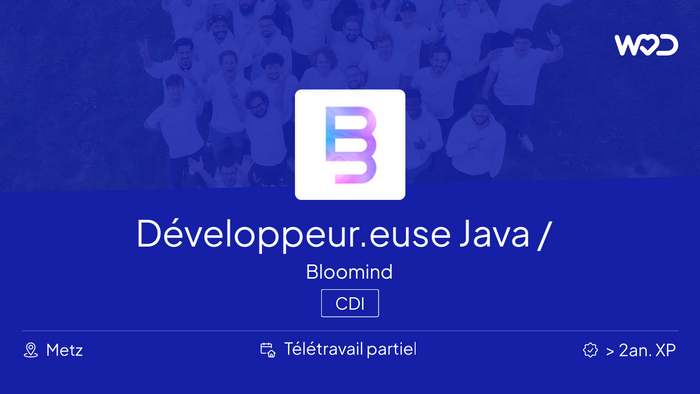 Développeur.euse Java SprinBoot / Angular - Bloomind - IT job