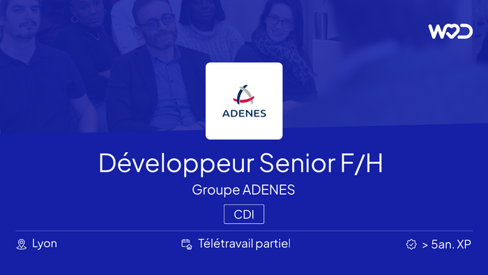 Développeur Senior F/H - Groupe ADENES - IT job