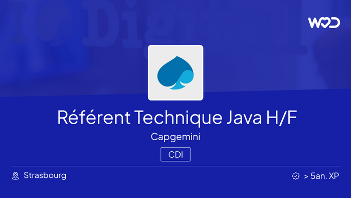 Référent Technique Java H/F - Capgemini - IT job