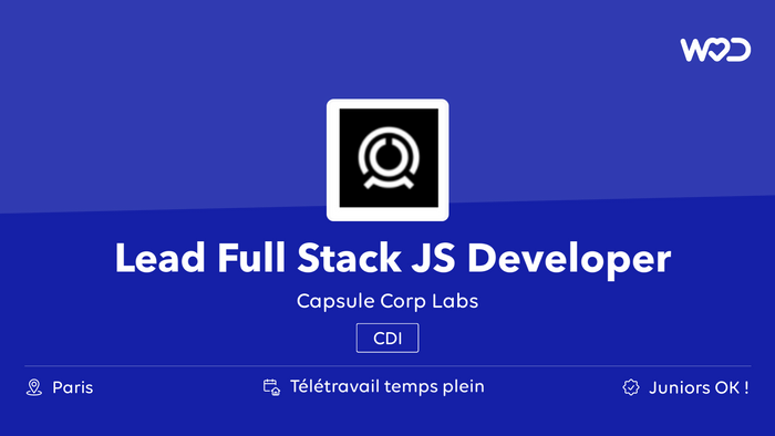 Lead Full Stack JS Developer (French CDI) - Capsule Corp Labs & Ternoa ...