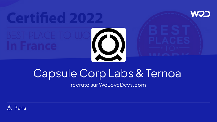 Developer at Capsule Corp Labs & Ternoa - jobs and salaries | WeLoveDevs