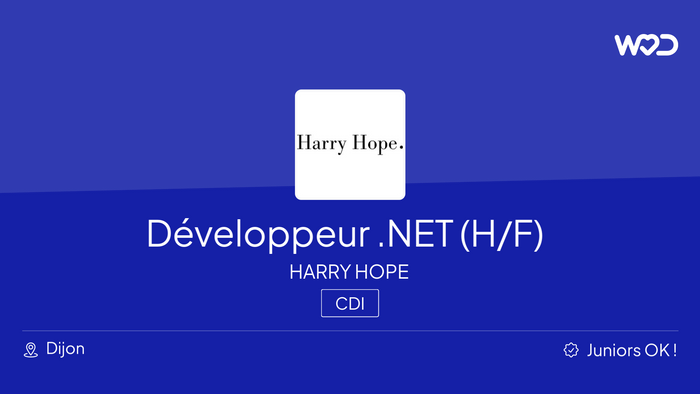 Développeur .NET (H/F) - IT job
