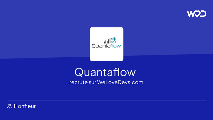 Developer at Quantaflow - jobs and salaries | WeLoveDevs