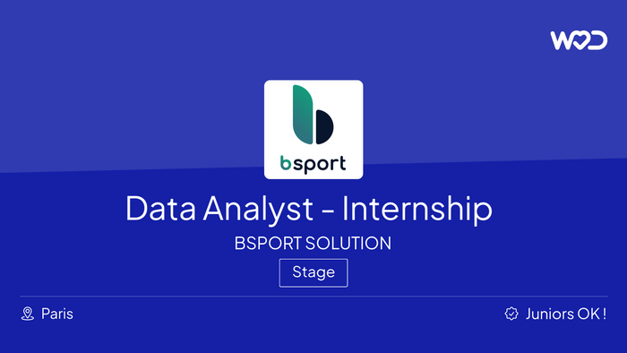 Data Analyst - Internship - IT job